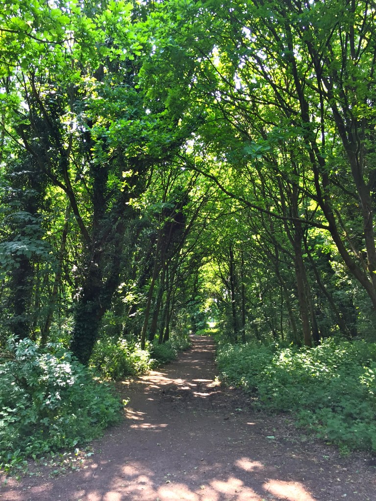 Ironing, Oak Apples and Editing or, How I Survived A Writing Wobble ...