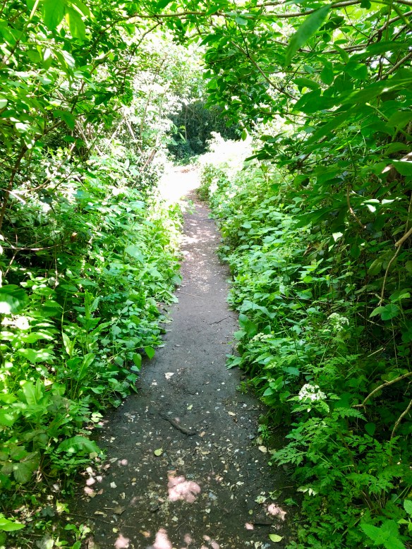 A Tangled Path – Where Do We Go From Here? | Helen Glynn Jones